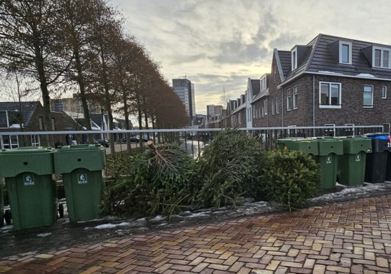 Kerstbomen rauzen – Leidse Glibber