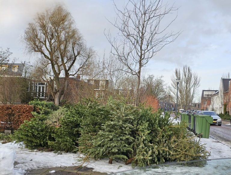 Kerstbomen rauzen – Leidse Glibber