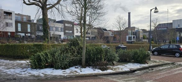 Kerstbomen rauzen – Leidse Glibber